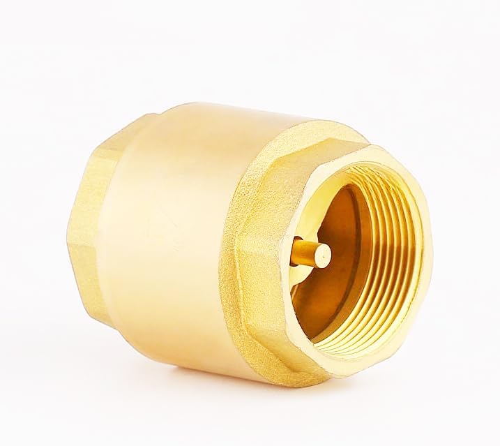 Amazon.com: MYWERO 2" One Check Valve, Female Threaded Vertical Check ...
