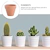 10Pcs 5.5x5cm Small Mini Terracotta Pot Clay Ceramic Pottery Planter Cactus Flower Pots ...