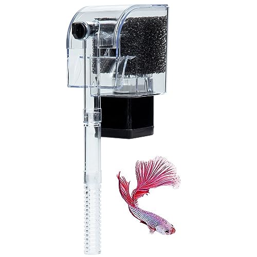 Top 3 Best Betta Filter To Look For - Animals Log