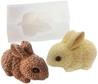 Amazon.com: 2Pcs Rabbit Fondant Mold Easter Silicone Rabbit Mold for ...