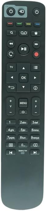 Amazon.com: Hotsmtbang Replacement Voice Remote Control Compatible for ...