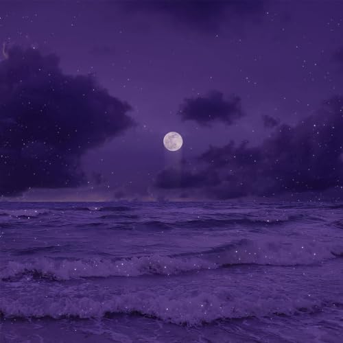 Amazon.co.jp: Sped Up Music Vol. 2 : Sped Up Mage: デジタルミュージック