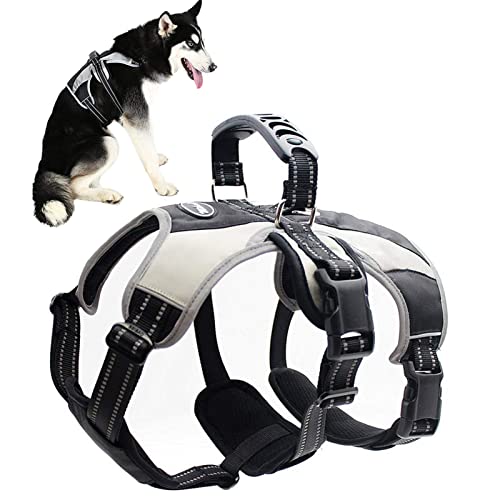 The 11 Best Escape-Proof Dog Harnesses [2022 Reviews]