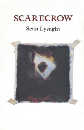 Scarecrow: Lysaght, Sean: 9781852352172: Amazon.com: Books
