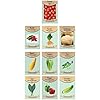 Amazon.com : Set of 10 Assorted Vegetable & Herb Seed Packets - Create ...