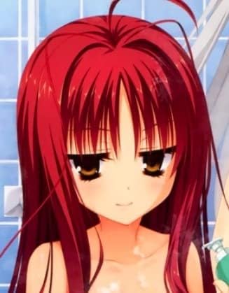 Amazon.co.jp: 美羽エリナと一緒にお風呂 シャワータペストリー DRACU-RIOT! 電撃姫 2012年1月号付録 ゆずソフト : おもちゃ