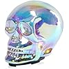 Amazon.com: Chonsun Halloween Skulls Decor Skull Head with Roating LED ...