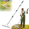 Amazon.com : 62" Thatch Rake, Adjustable Handle 15-Inch Wide Lawn ...