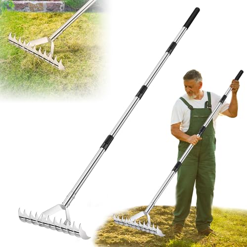 Find The Best Rake For Dead Grass Reviews & Comparison - Katynel