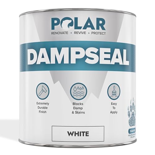 5 Best Damp Seal Paints - Chosen By Experts