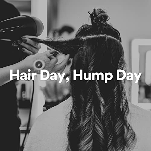 Play Hair Day, Hump Day by Deep Sleep Hair Dryers, Hair Dryer Sounds ...