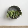 Amazon.com: Primitives by Kathy Rustic Wall Pocket - Handmade ...