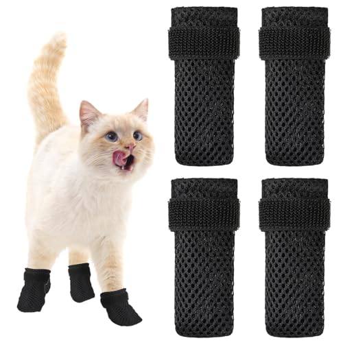 Cat Mittens – The 15 best products compared - Wild Explained