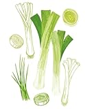 ・製造元:Independently published