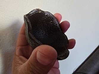 Cast Iron Turtle Key Hider - Outdoor Hidden Key Holder, Decorative ...