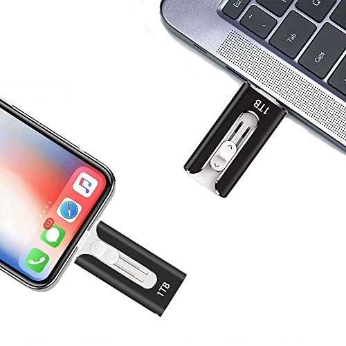 Flash Drive 1TB for Phone, USB 3.0 Dual Storage High Speed Flash Memory ...