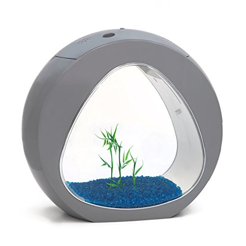 allpondsolutions Small 13.5L Nano Curve Aquarium Grey Fish Tank ...