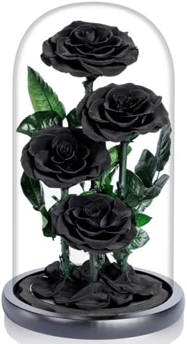 Amazon.com: Preserved Flowers in Glass Dome - Forever Real Roses Gifts ...