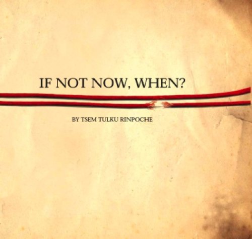 If Not Now, When?: Tsem Tulku Rinpoche, Sharon Saw, Jamie Khoo ...