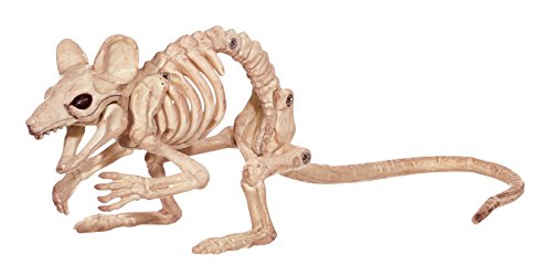 Snapklik.com : Creepy Skeleton Mice