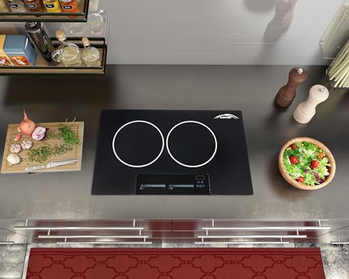 Kenyon Bridge Induction Cooktop, 2 Burners, Landscape Cooktop, Smart ...