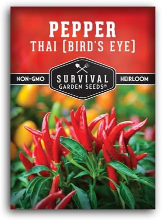 Amazon.com : White Thai Heirloom Chili Pepper Premium Seeds for ...