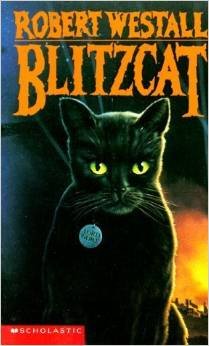 Blitzcat | Amazon.com.br