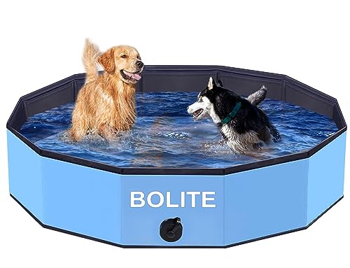 Make a splash with our top 10 rectangle dog pools: Your ultimate buying ...