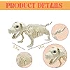 Amazon.com : UMEELR Halloween Animal Skeletons, Cats and Dogs Pose-N ...
