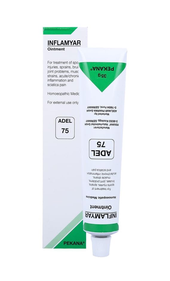 Adel 75 Inflamyar Ointment 35g - Set of 1 Tube : Amazon.in: Health ...