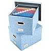 Amazon.com: PRANDOM File Organizer Box - Set of 2 Collapsible ...