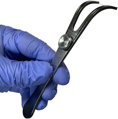 Amazon.com : Dental Lace Refillable Clean Dental Flosser Handle ...