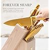Amazon.com: Gold Knife Set for Kitchen with Block and Sharpener – 14 ...