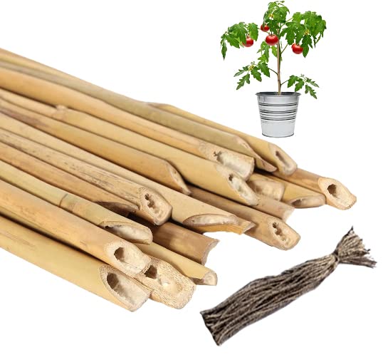 ZAM ZAM Bamboo Sticks for Plants 03 Foot Bamboo Stakes for Indoor ...