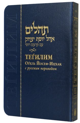 Amazon.com: Tehilim, Ohel Yosef Yitzchok, Compact Size (Hebrew ...