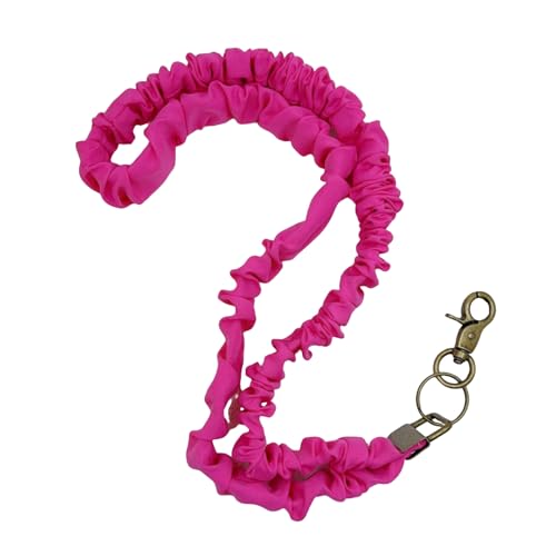 Large Intestine Diagram: Anatomy, Function & Digestive Role