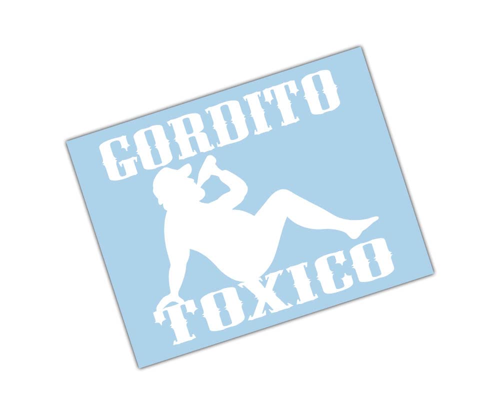 Amazon.com: Gordito Toxico Decal Sticker - for Vehicle Window Bumper ...