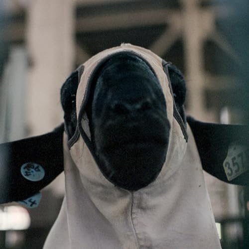 Écouter Beatnik Beatdown de Red Light Ritual sur Amazon Music Unlimited