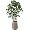 Amazon.com: 6ft Artificial Fiddle Leaf Fig Tree Fake Tree in Pot ...
