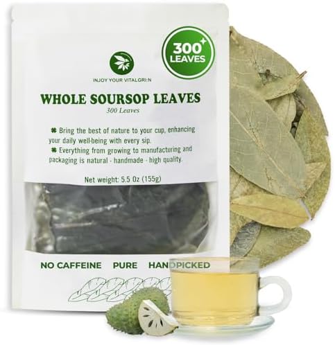 Amazon.com : Soursop Graviola Leaf Tea – 300+ Whole Leaves, Makes 100 ...