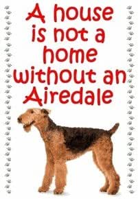 Amazon.com: Magnetsandhangers Airedale - Novelty Dog Fridge Magnets ...