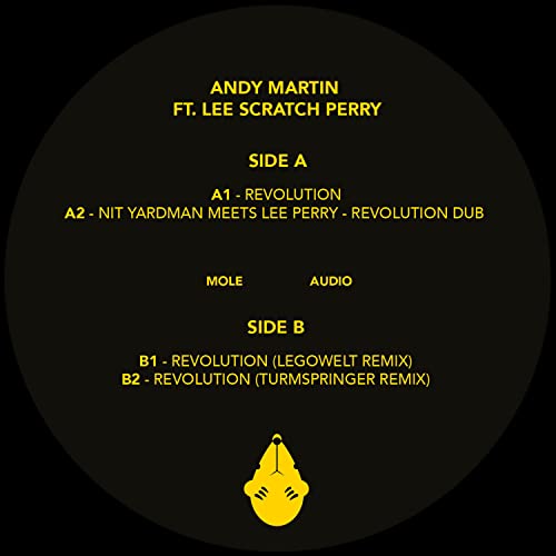 Revolution feat. Lee Scratch Perry de Andy Martin feat. Lee "Scratch ...