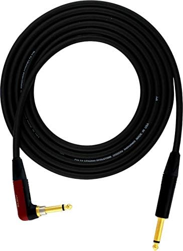 Amazon.com: Pro Co Evolution Studio/Stage Silent Straight - Angle ...