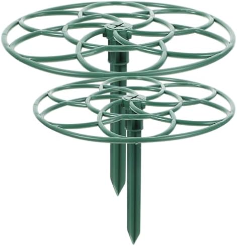 Amazon.com : GANAZONO Peony Support Cage 2pcs Plant Support Plant ...