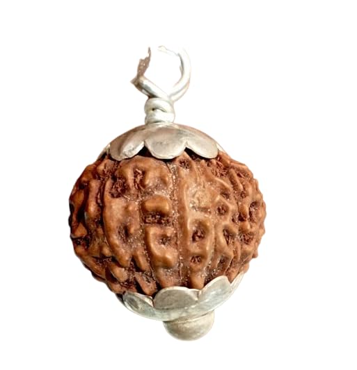 SRT Rudra 14 Mukhi Rudraksha Indonesia Original Certified Blessed by ...