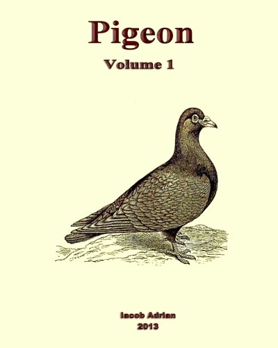 Pigeon Volume 1: Adrian, Iacob: 9781490914732: Amazon.com: Books