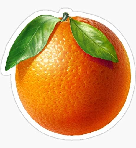 Amazon.com - Orange Fruit Sticker - Sticker Graphic - Waterbottle ...