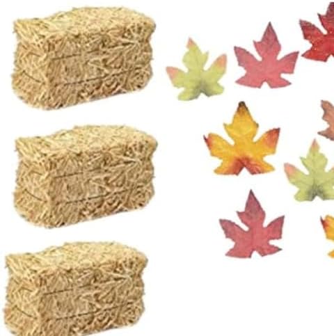 Amazon.com: Shops Mini Hay Bales for Autumn Harvest Craft, Decoration ...