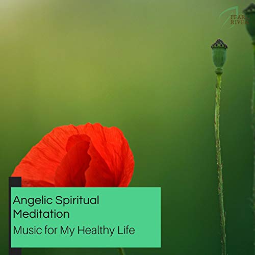 Play Angelic Spiritual Meditation - Music For My Healthy Life by Bailey ...