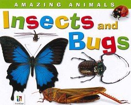 Amazing Animals Insects and Bugs Book (BOARD BOOK) ALMOST NEW : Amazon ...
